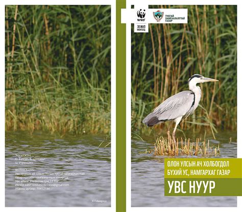 ОЛОН УЛСЫН АЧ ХОЛБОГДОЛ БyХИЙ УС НАМГАРХАГ ГАЗАР УВС НУУР Wwf