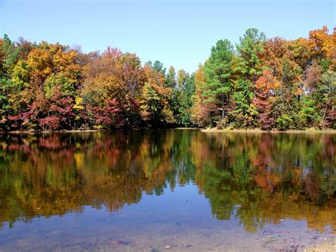 Lake And Trees Free Stock Photo Public Domain Pictures