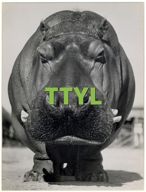 Ttyl Meaning