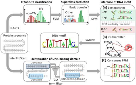 Bioinformatics Pipeline For The Structural And Functional Annotation Of Download Scientific