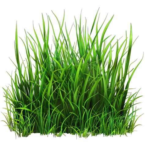 Realistic Grass Pngs For Free Download