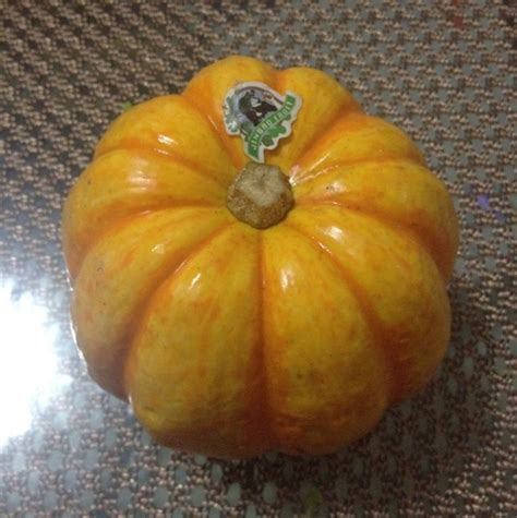 芝士焗金瓜图册 360百科