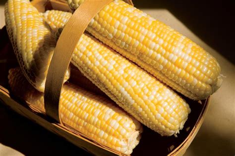 Difference Between Corn And Sweet Corn Tringart