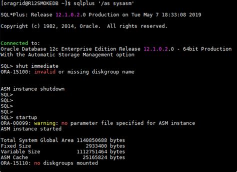 davis apps dba diskgroups not mounted in oracle asm