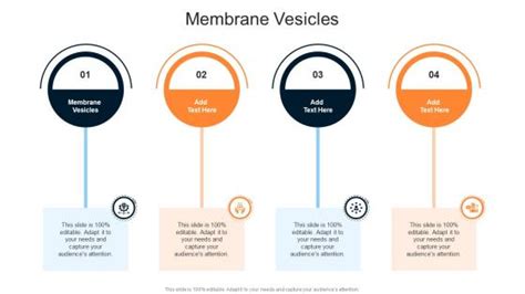 Membrane Vesicles Powerpoint Templates Slides And Graphics
