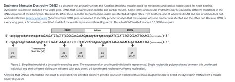 Solved Consider Single Nucleotide Polymorphism SNP Chegg Com