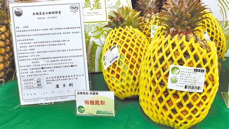 2噸生鮮鳳梨銷澳洲 運費比水果貴 政治要聞 中國時報