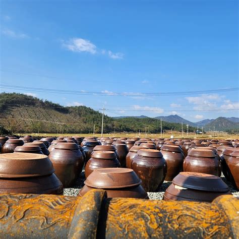 여행과 맛집정보 전통미와 맛이 동시에 있는곳 강진 전통된장마을 이곳에서 생산되는 강진군동된장