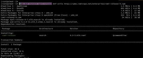 how to install laravel php framework on alma linux 9