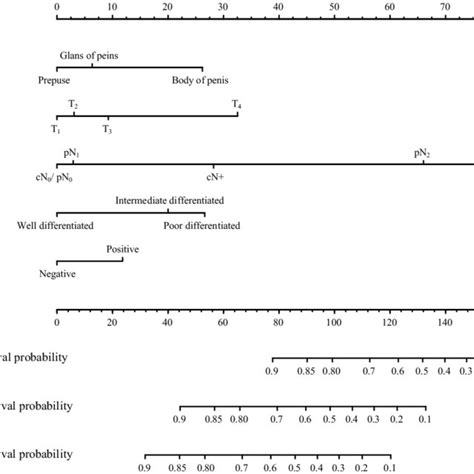 Novel Nomogram 1 Predicting Cancer Specific Survival Of Postoperative Download Scientific