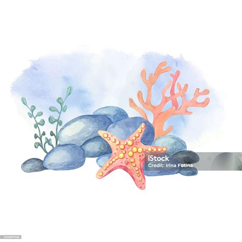산호 나뭇가지 푸른 바위 수생 식물로 둘러싸인 분홍색 불가사리를 수채화 스타일로 표현합니다 클립 아트 어린이 책 바다 테마 스티커에 적합 가리비에 대한 스톡 벡터 아트 및