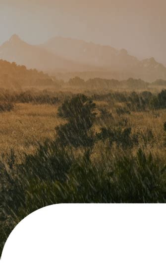 Portfolio De Rostra Ag