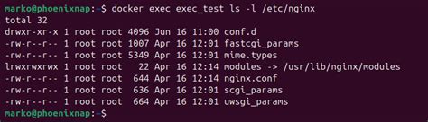 Docker Exec Command Syntax Options Examples