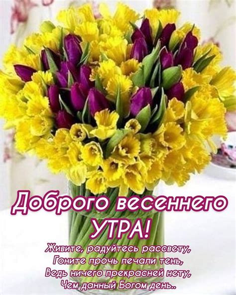 Марина Алекминская в Instagram «🌼🌼☔️☔️💛☔️☔️🌼🌼 Good Morning Beautiful Images Yellow Flower