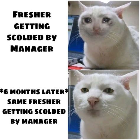 Sajjad Ali Posted On Linkedin