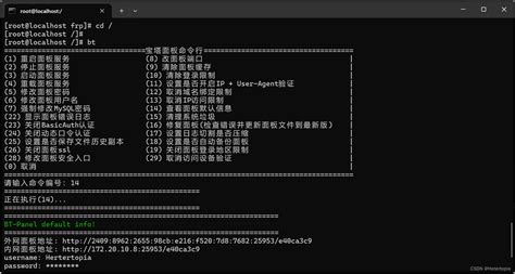 基于linux为服务器，搭建的一个web网站 linux网页版 csdn博客