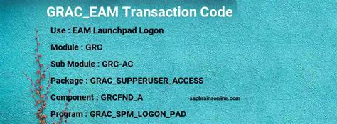 Graceam Sap Tcode For Eam Launchpad Logon