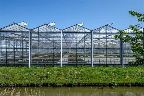 荷兰的玻璃温室技术是如何实现农业生产的可持续发展的 哔哩哔哩