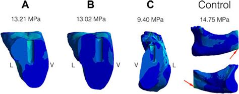 Overall Displacement Values And Their Distributions Maximum Values In Download Scientific
