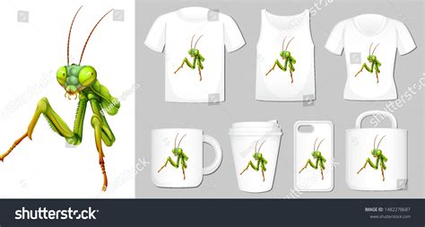 Graphic Grasshopper On Different Types Product Stock Vector Royalty