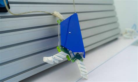 Bio Hybrid Soft Robotics Laboratory The Newly Announced Lab Nu