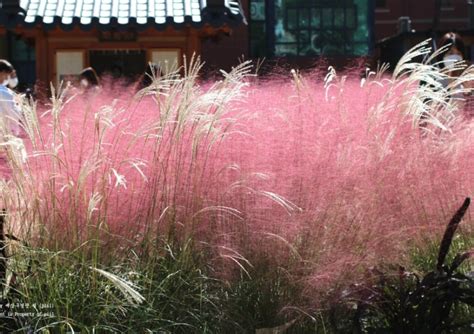 힘들어 하는 당신을 위한 글