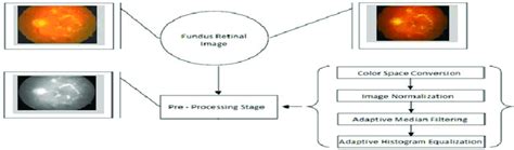 Showing The Pre Processing Steps Download Scientific Diagram