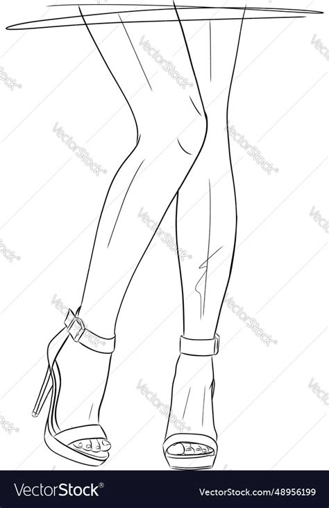 Sexy Legs Woman High Heeled Shoes Sketch Drawing Vector Image