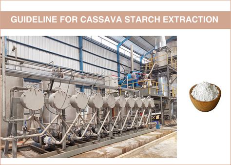 Properties Of Cassava Starch And Guideline For Cassava Starch Extractionblog