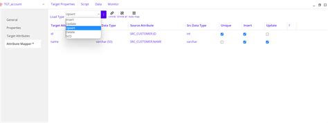Working With Mssql Target Instance Transform