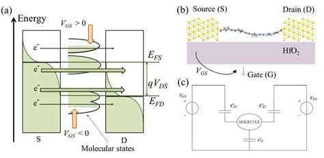 A Pictorial Representation Of The Gating Effect On A Generic Download Scientific Diagram