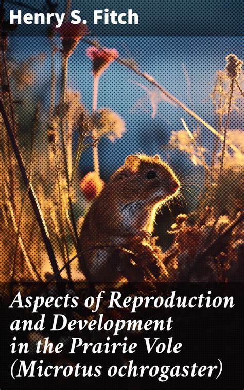 Aspects Of Reproduction And Development In The Prairie Vole Microtus
