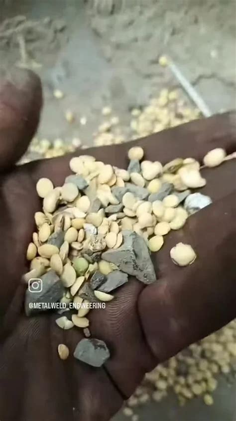 Combined Spiral Seed Grader 4 Set At ₹ 88500 Spiral Separator In