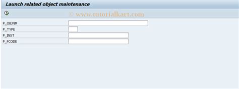 RSTCT RRI SAP Tcode Display Object Or Process Maintenanc