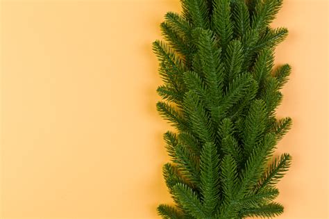 복사 공간 다채로운 배경에 전나무 나무로 만든 프레임의 상단보기 메리 크리스마스 컨셉 Diy에 대한 스톡 사진 및 기타 이미지 Diy 가문비나무 강림절 Istock