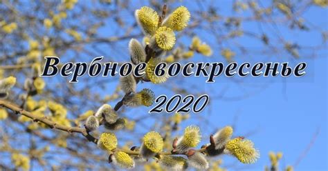 Вербное воскресенье 2020 у католиков что нельзя делать в этот день Телеграф