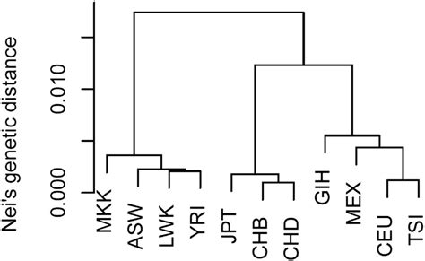 Cluster Analysis Of 11 Human Populations The Plot Is Based On Neis