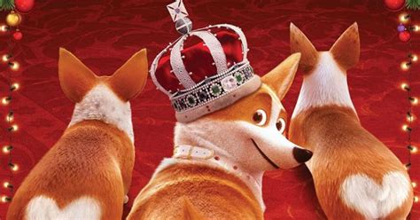 마이펫 제작진의 프린스 코기 귀티 나는 깜찍 강아지 렉스