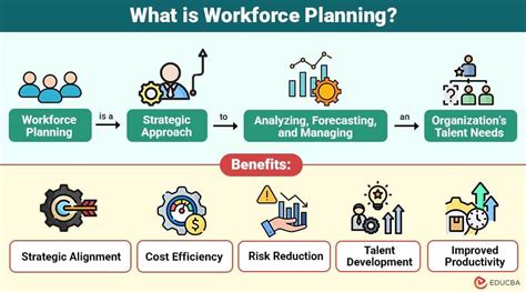 Workforce Planning Types Steps Benefits Examples