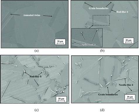 Microstructure Morphology Of The Stress Free Aged Alloy At The Aging