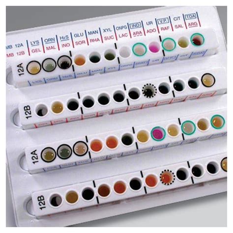 Thermo Scientific™ Oxoid™ Microbact™ Gnb Reagents And Accessories Each