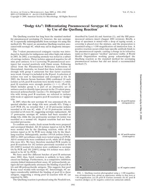 Pdf Dodgy 6as Differentiating Pneumococcal Serotype 6c From 6a By Use Of The Quellung Reaction