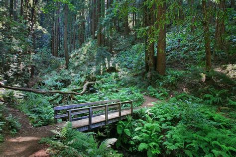 Purisima Creek Redwoods Open Space Preserve