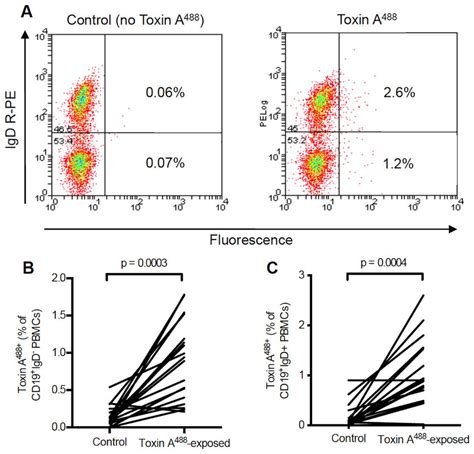 Circulating C Difficile Toxin A Specific Antigen Activated B Cells Download Scientific