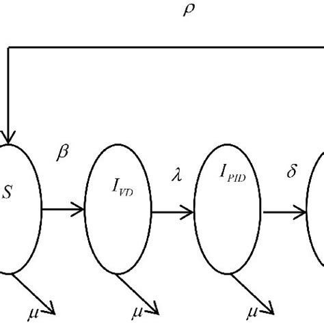 Compartmental Model Of Vaginal Discharge Dynamics Download Scientific Diagram