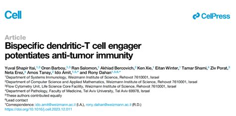 Cell：用双抗连接树突状细胞和t细胞，增强抗肿瘤免疫，防止癌症转移复发 生物科技 健康一线资讯