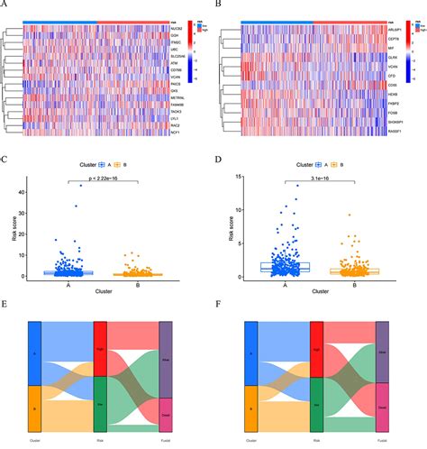 A Prognostic Model Based On Nk Cell Related Genes In Mm Blctt
