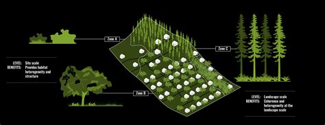 [biodiversity Science] Habitat Diversity Making Natures City