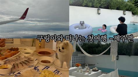 여행브이로그 떠나요~ 셋이서~ 제주도 푸른나라로~ Youtube