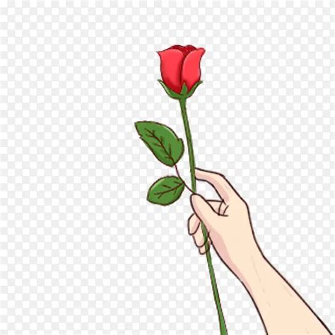 手拿玫瑰花红色花朵png图片素材下载图片编号10242254 Png素材网